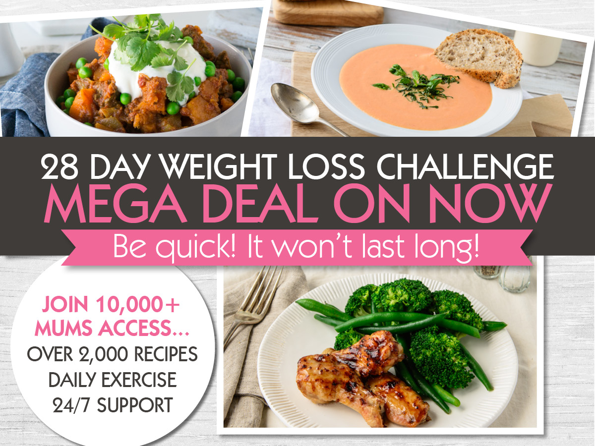 Free 28 Day Challenge Recipe Exercise Sampler Thank You The free-28-day-challenge-recipe-exercise-sampler-thank-you-the